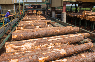 PotlatchDeltic announces $131 million expansion of Waldo sawmill ...