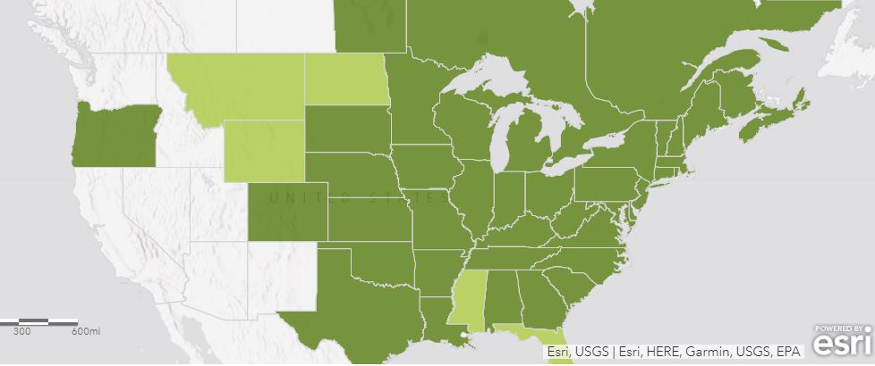 Emerald ash borer gains a foothold in Pacific Northwest | Woodworking ...