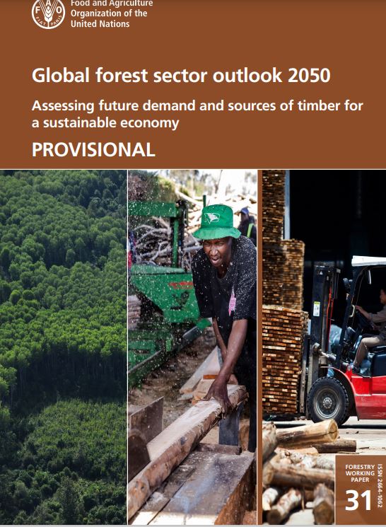Global wood consumption to grow 37% by 2050, U.N. reports | Woodworking ...