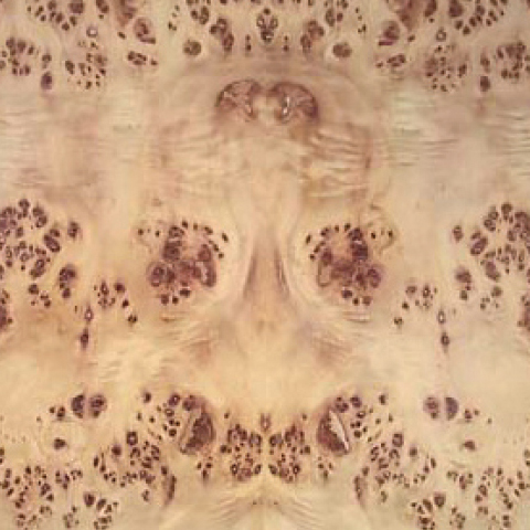 Guide to veneer cuts & characteristics | Woodworking Network