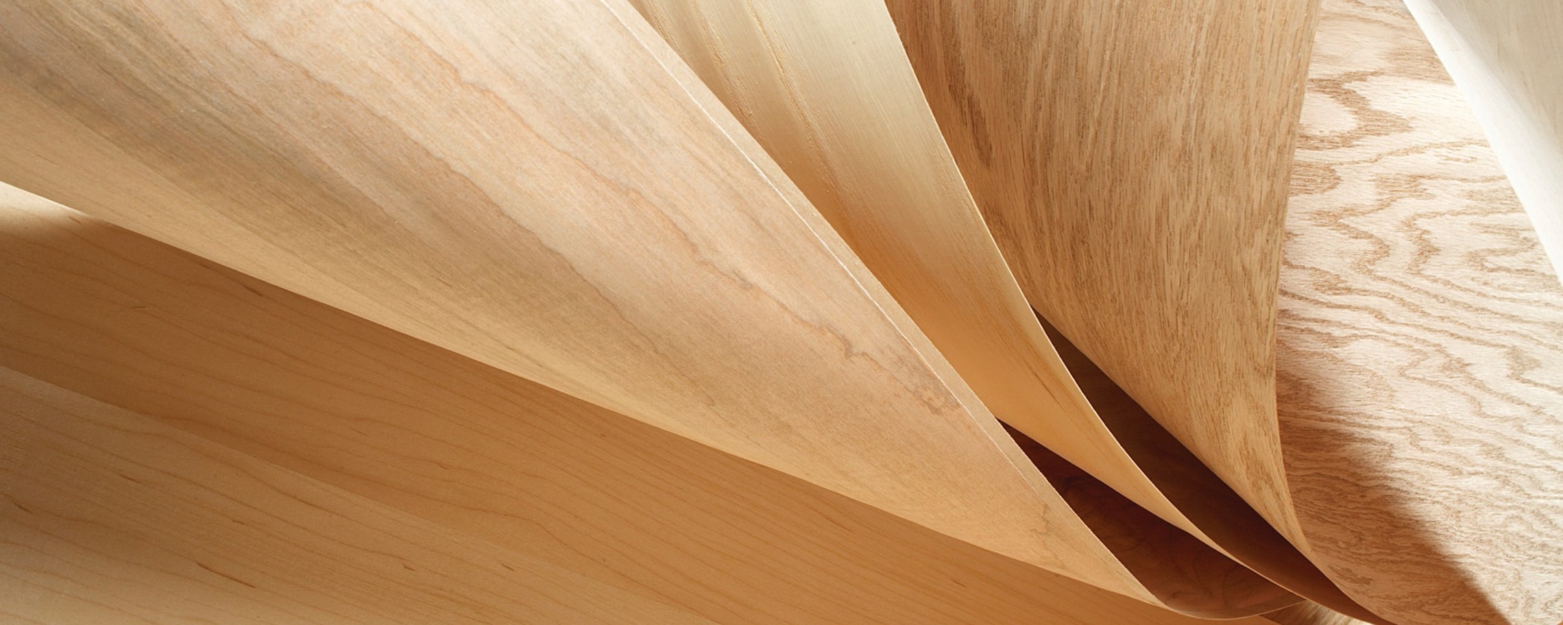 Video: Benefits of attending Veneer Grading Seminar at WPE Lancaster ...