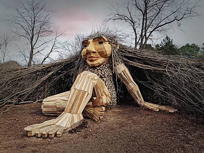 The Sawmill Museum calls for waste wood to build Dambo troll exhibit ...