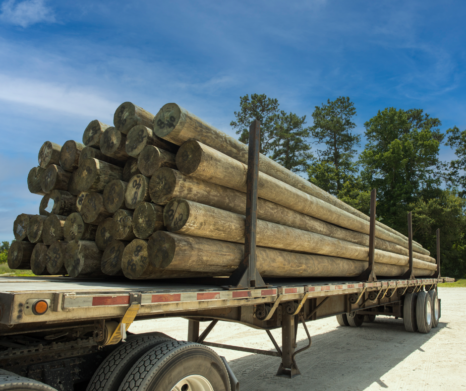 Culpeper Wood Preservers reopens plant following multi-phase upgrades ...