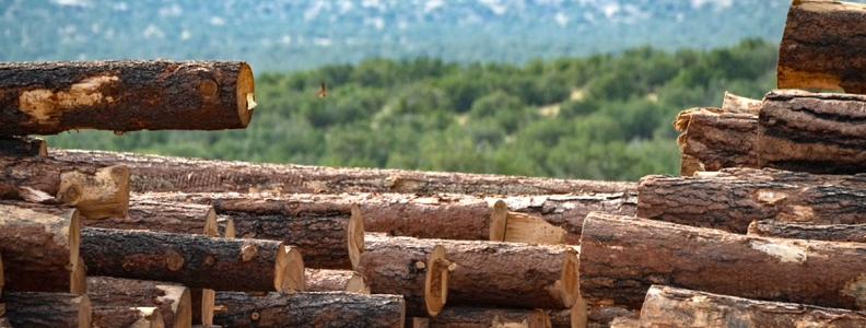 U.S. Endowment seeks proposals to repurpose closed mills | Woodworking ...