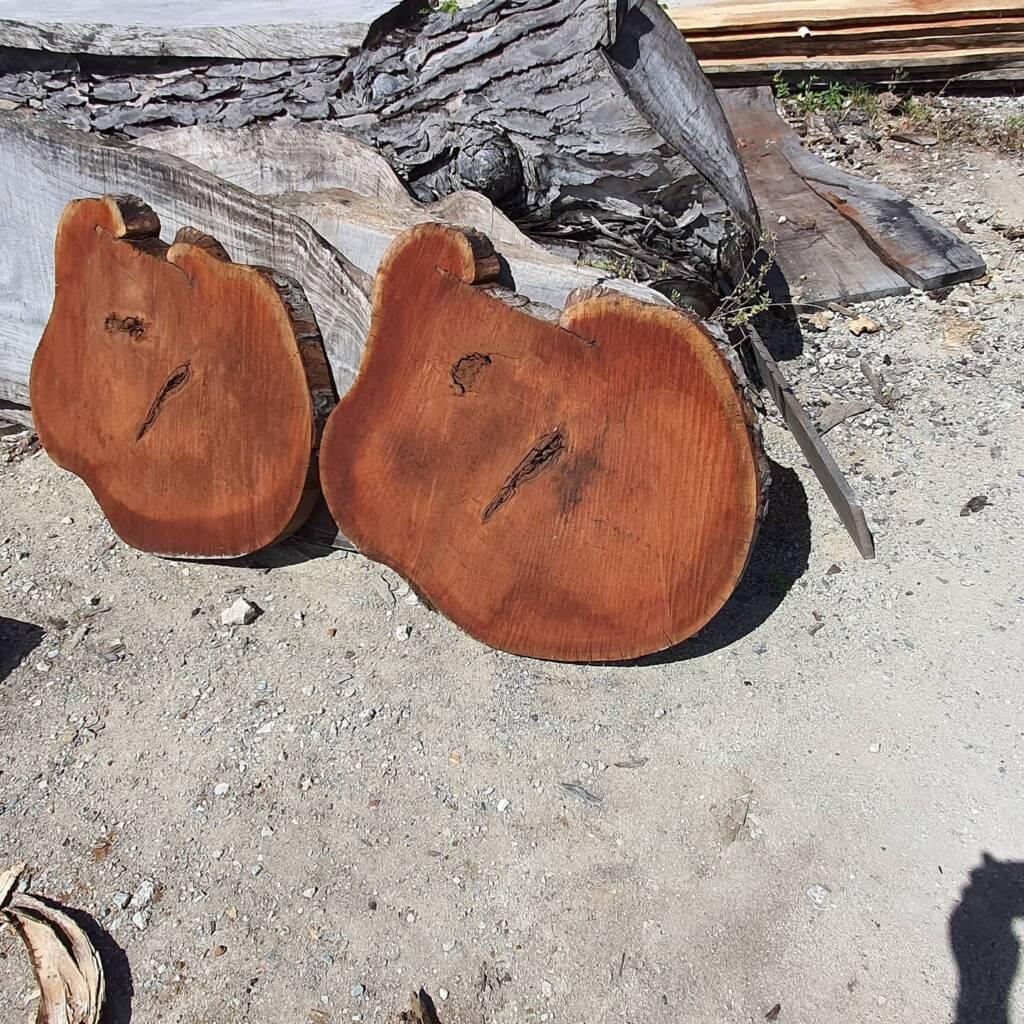 Puerto Rico Hardwoods gets federal subsidy for sustainability project ...